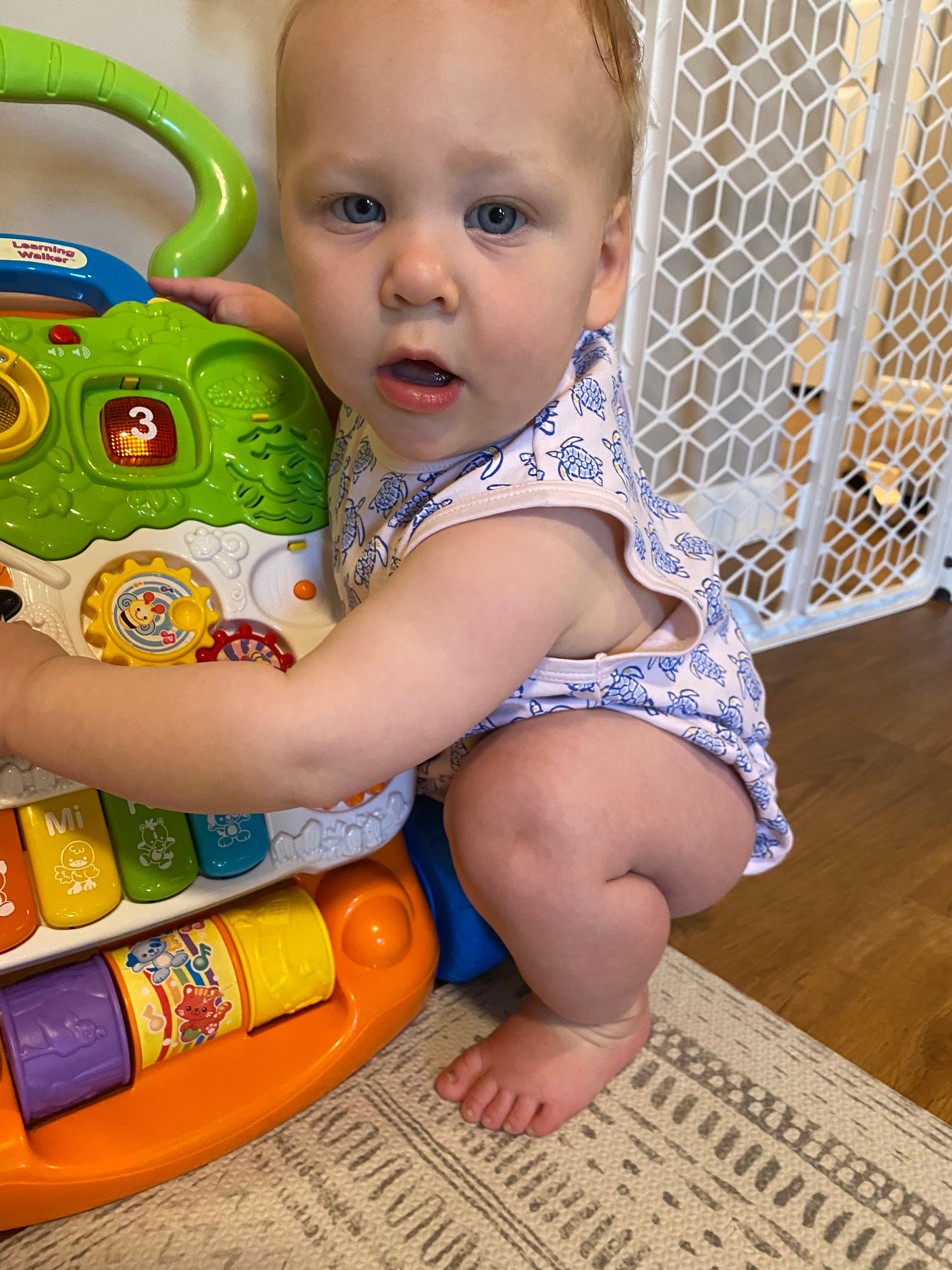 Pink Sea Turtle Bubble | Little Birdies